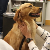 Therapy Dog Visit: Poppy | Dartmouth